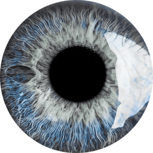 Tobii Eyetrackers – Welcome to Tidentech